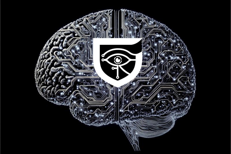 AI vs. AI - Gray Falkon - Insights